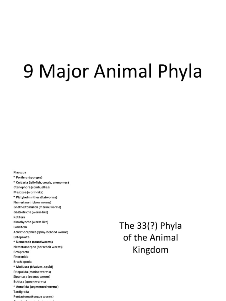 Overview of 9 Major Animal Phyla | PDF | Eukaryotes | Protostomes
