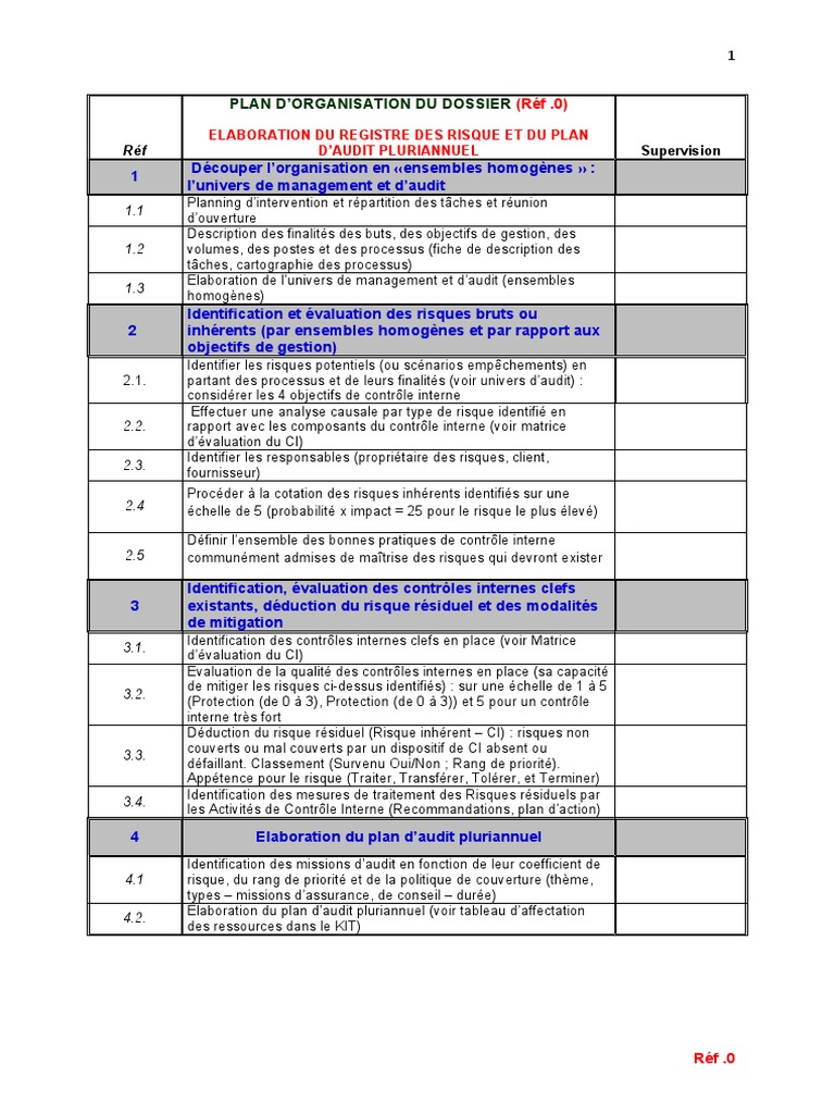 Plan d'Audit et Gestion des Risques | PDF | Contrôle interne | Audit
