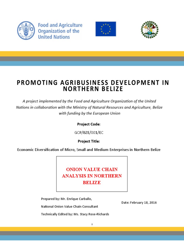 Onion Value Chain Analysis Action Plan Final | PDF | Agriculture | Retail