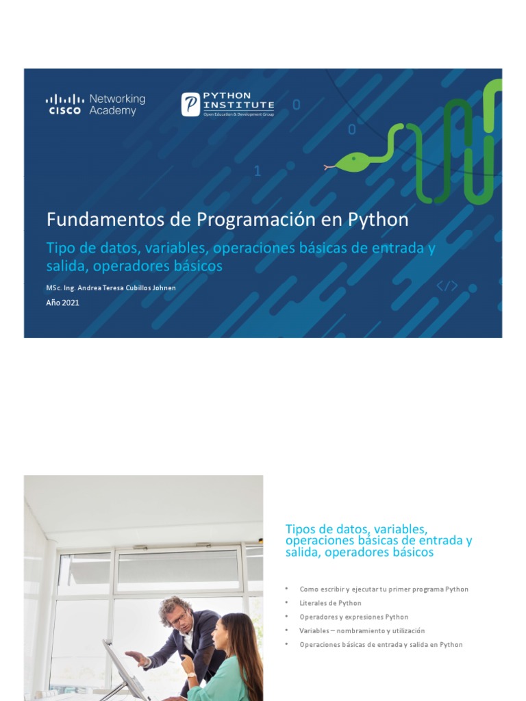 Entrada y salida de datos en Python | PDF | Python (lenguaje de programación) | Variable ...