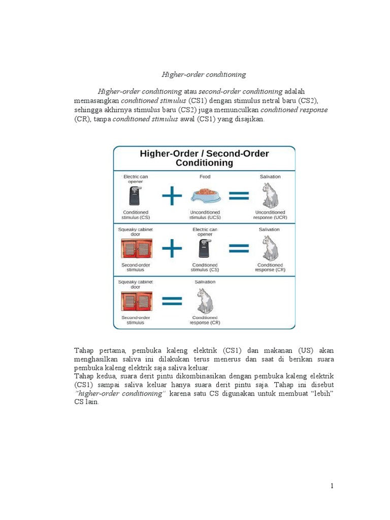 Higher Order Conditioning | PDF