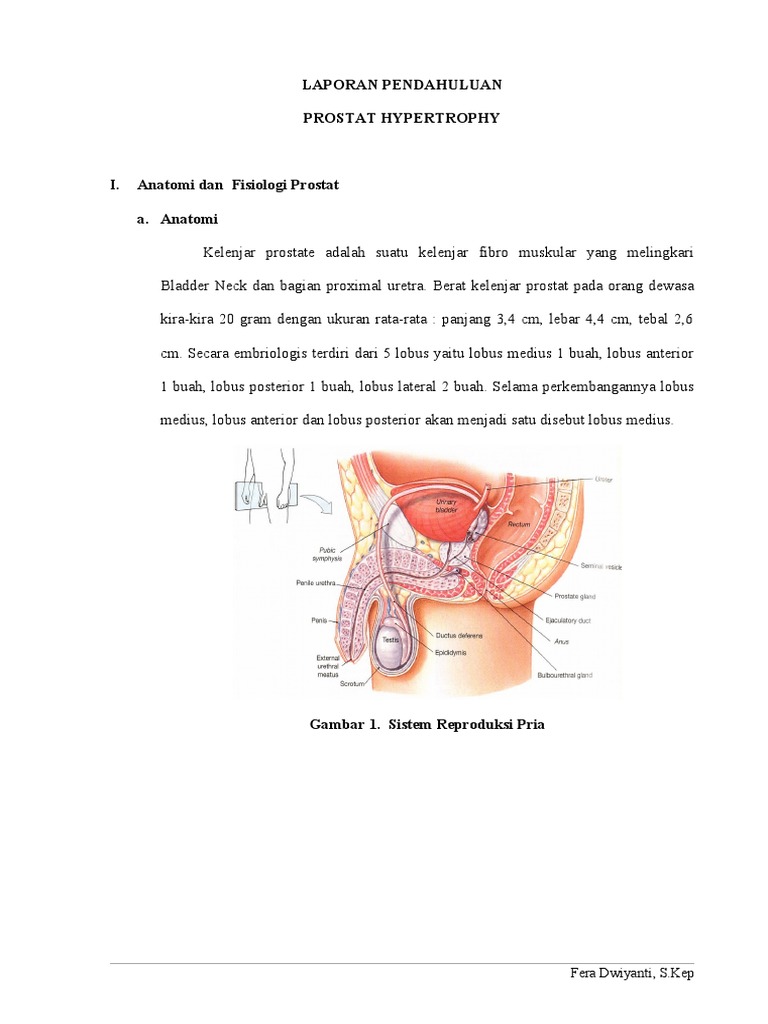 LP Hipertropi Prostat | PDF | Sains & Matematika