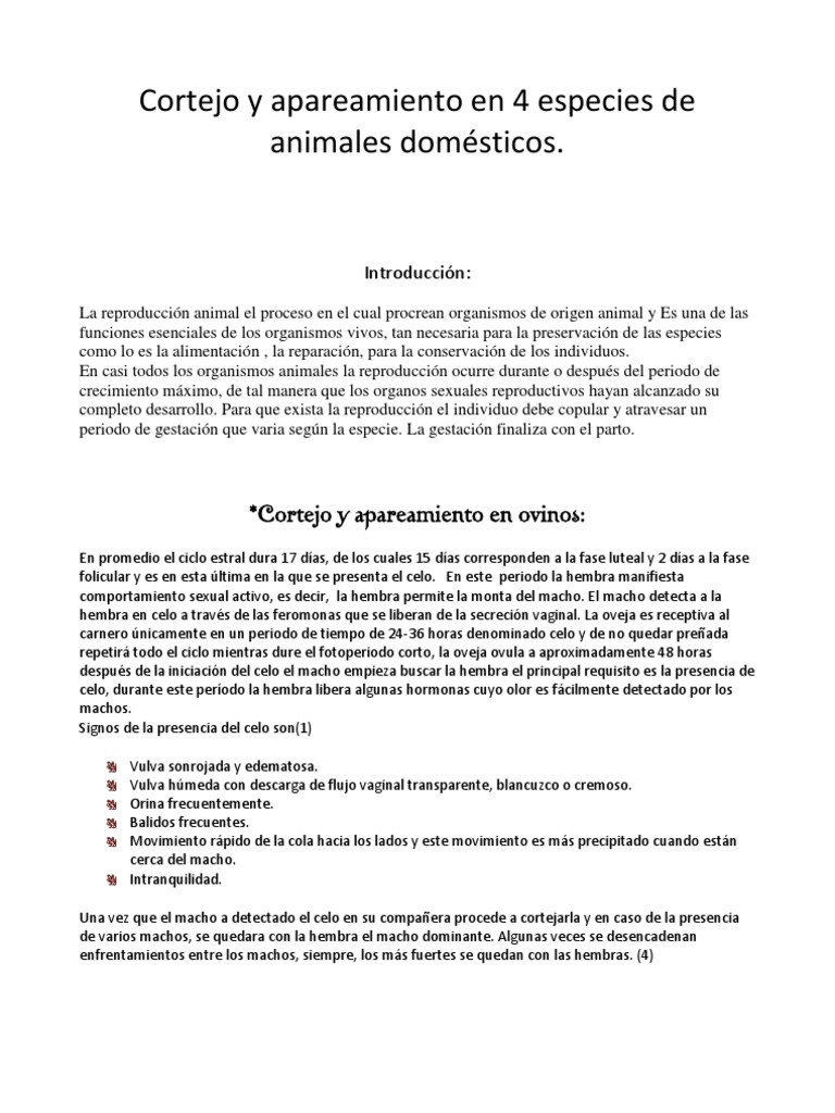 Cortejo y Apareamiento en Animales Domésticos | PDF | Gatos | Oveja
