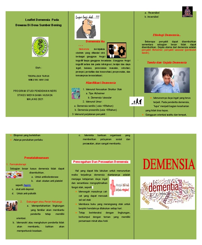 MENGENAL DEMENSIA DI DESA SUMBER BENING | PDF