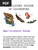 Crab - Digestive System | PDF
