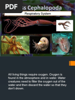 Shrimp - Digestive System | PDF | Human Digestive System | Stomach