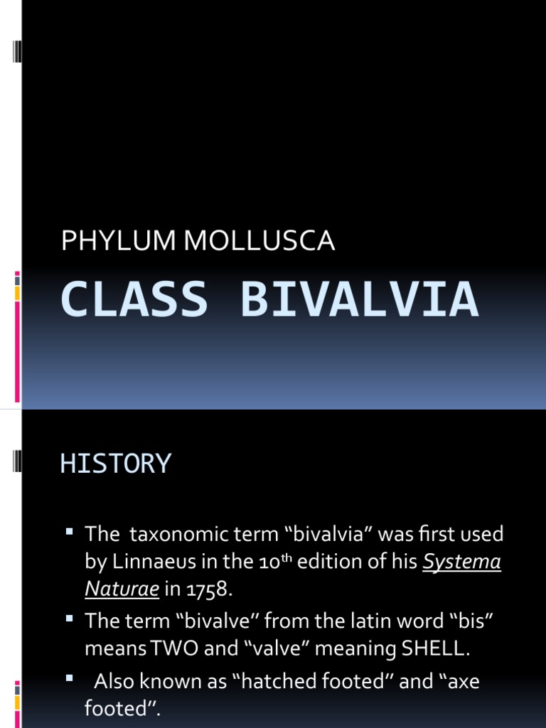 Overview of Class Bivalvia | PDF | Bivalvia | Mollusca