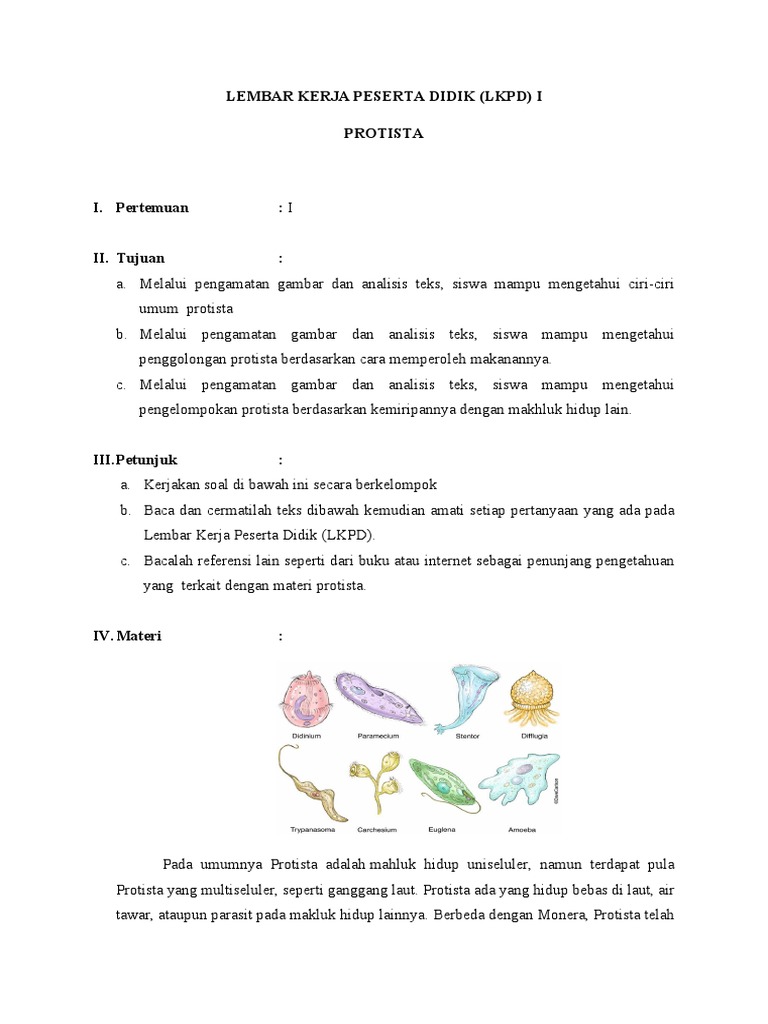 "Ciri dan Klasifikasi Protista" | PDF