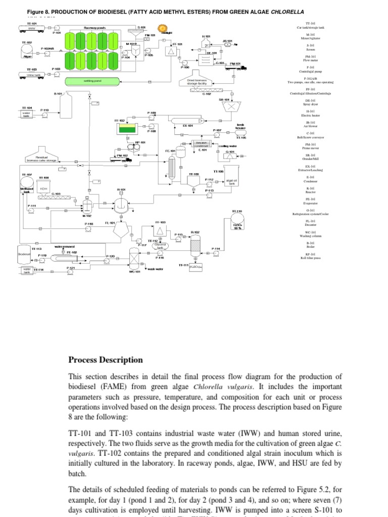 ProcessFlowsheet N Description Example | PDF | Filtration | Water