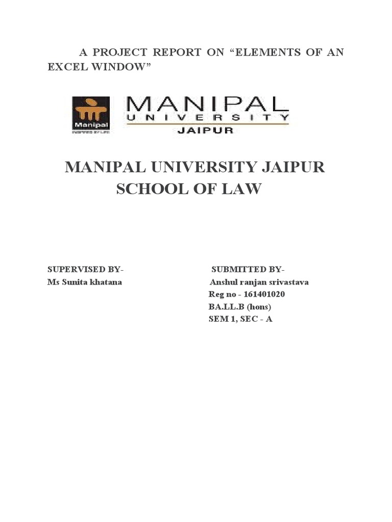 A Project Report On | PDF | Microsoft Excel | Spreadsheet