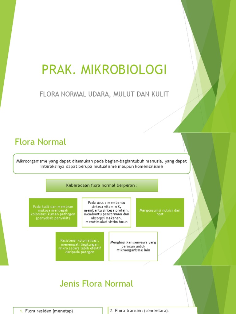 Flora Normal Udara, Kulit Dan Mulut Fix | PDF