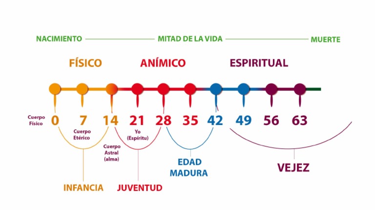 Apoyo Infografia Septenios 1 2 | PDF