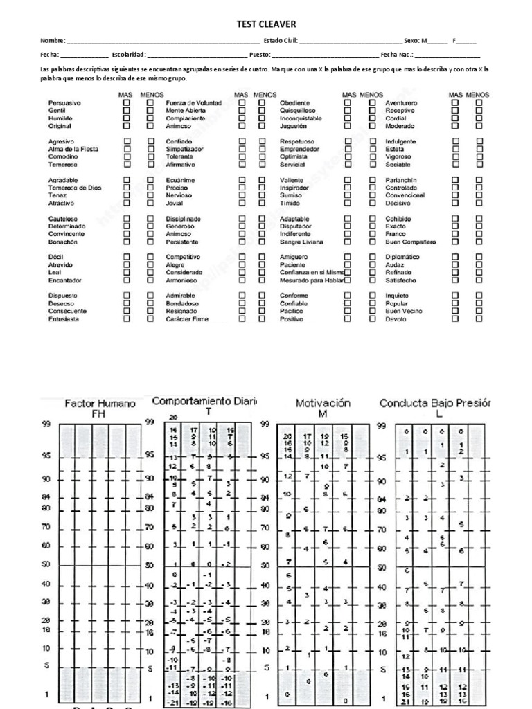 Test Cleaver Laboral | PDF