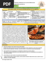 EVALUACIÓN Papelucho en La Clinica | PDF | Medicina | Bienestar