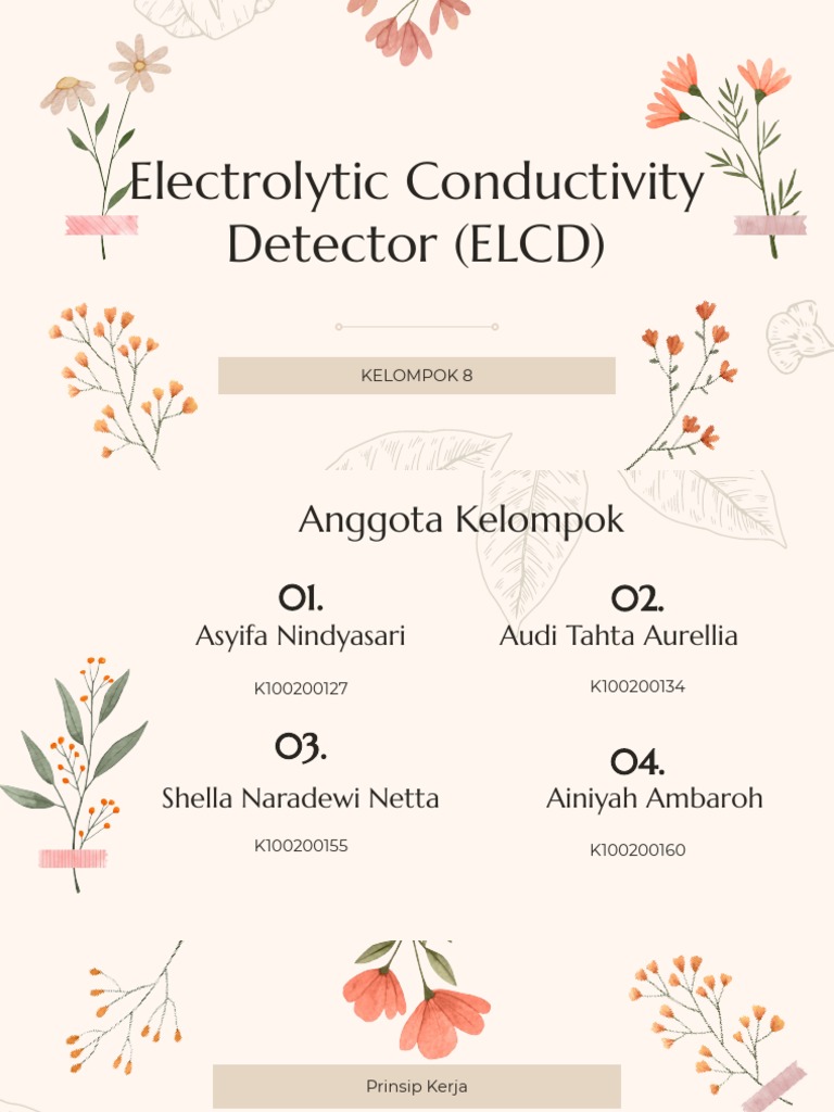 Kelompok 8 Electrolytic Conductivity Detector | PDF