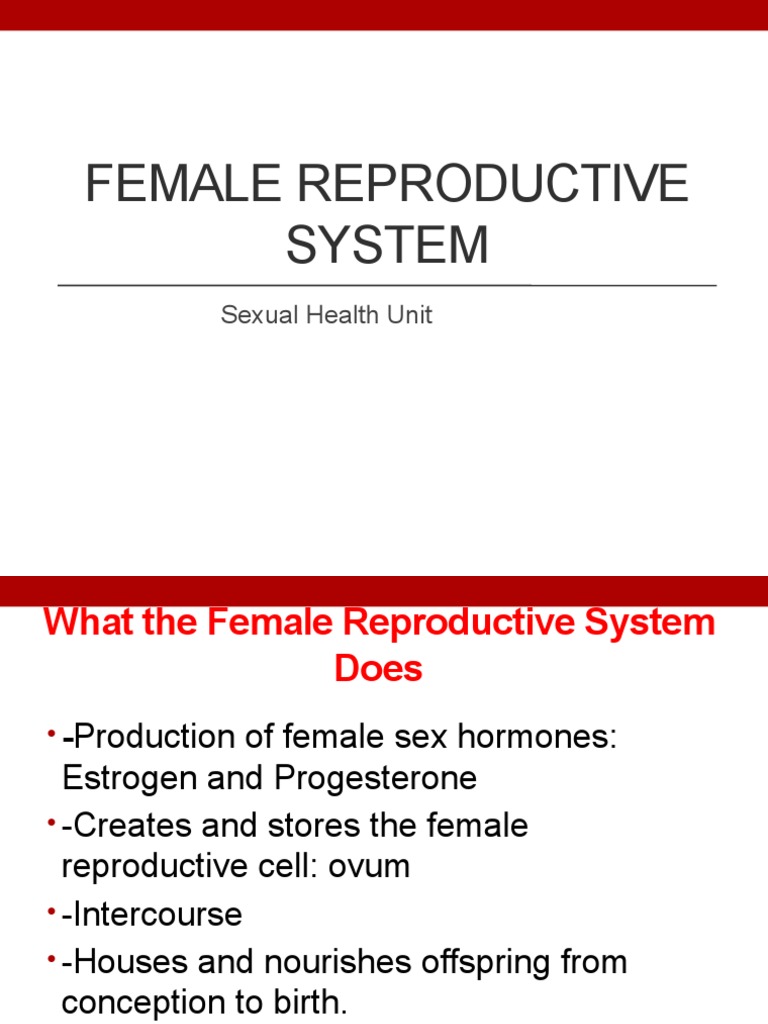 Female Reproductive System: Sexual Health Unit | PDF | Menstrual Cycle ...