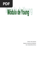 Esfuerzo de Tension y Compresion | PDF | El módulo de Young | Estrés ...
