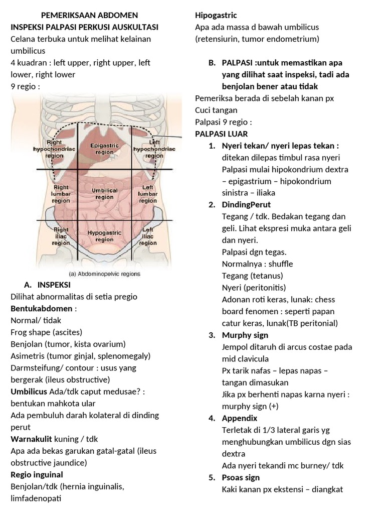 B14 S5 Note Pemeriksaan Abdomen DR Meddy | PDF