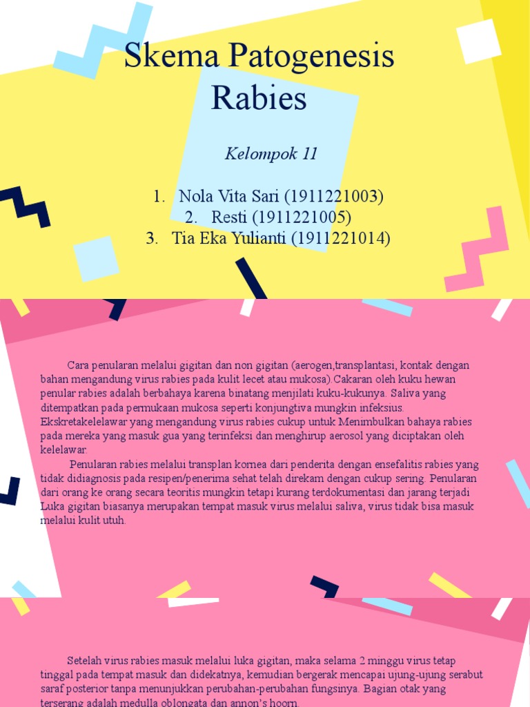 Kelompok 11 - SKEMA PATOGENESIS RABIES | PDF