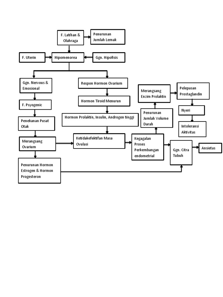 Patofisiologi Hipomenorea | PDF