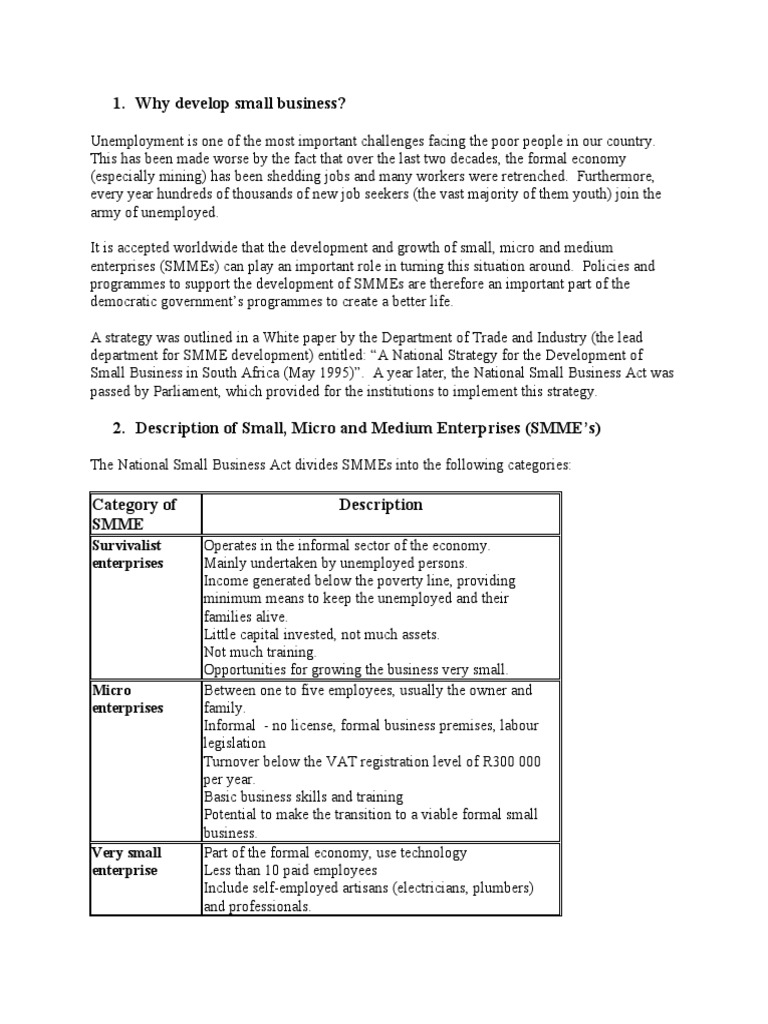 Why Develop Small Business | PDF | Entrepreneurship | Small Business