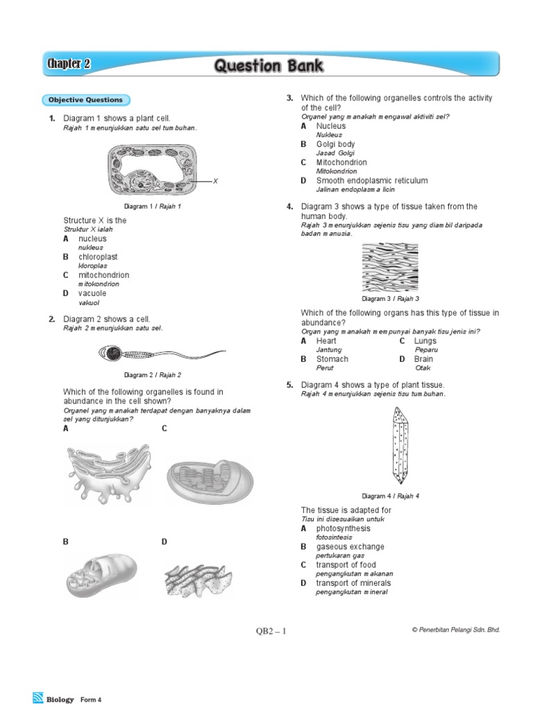 Question Bank: Biology | PDF