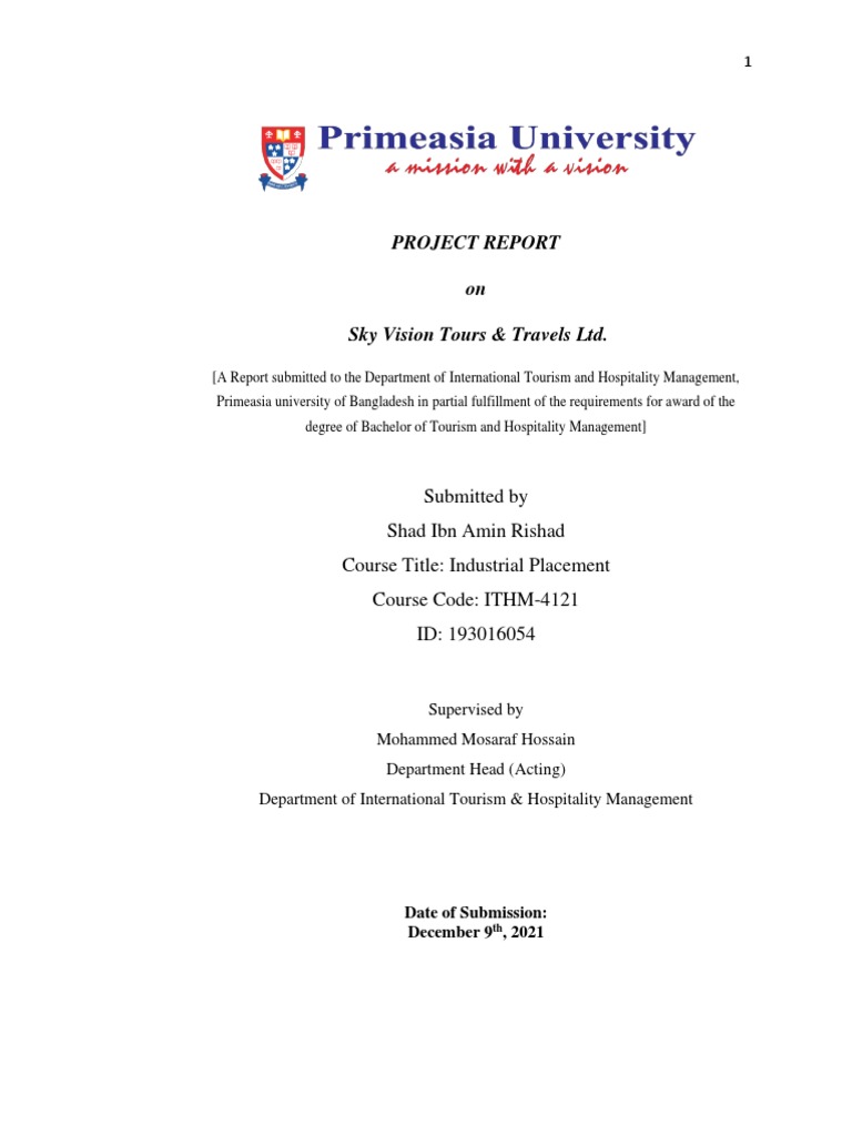 Project Report On Sky Vision Tours & Travels LTD | PDF | Travel Agency ...