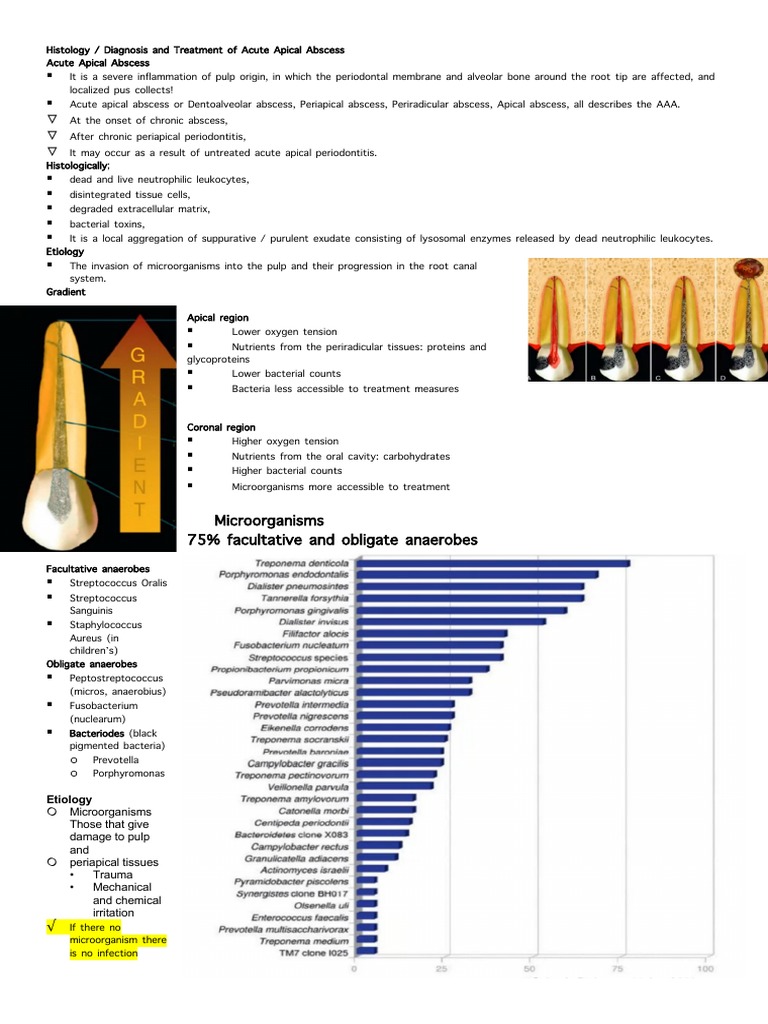 Histology: Diagnosis and Treatment of Acute Apical Abscess | PDF ...