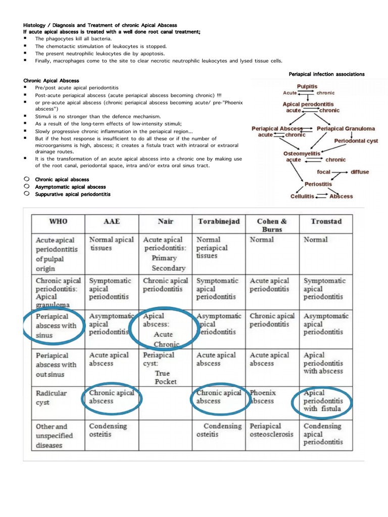 Chronic Apical Abscess: Diagnosis & Treatment | PDF | Periodontology ...