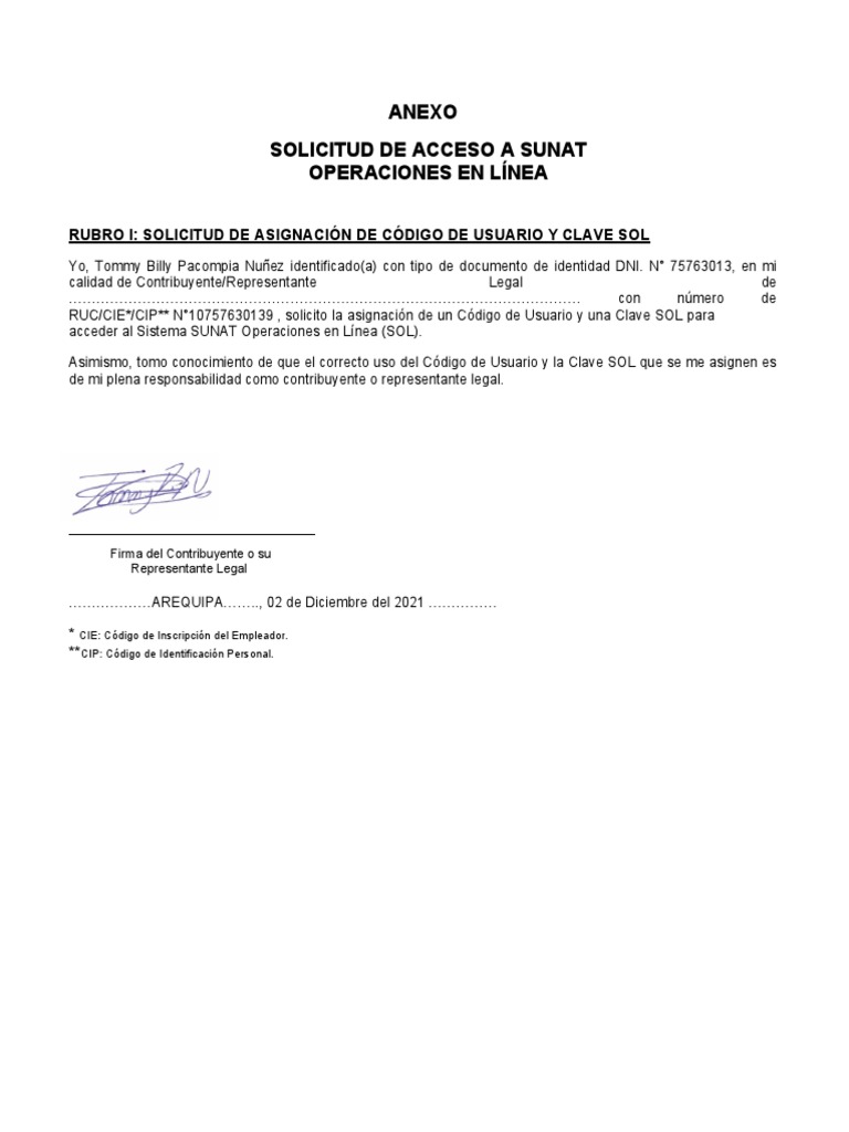 Solicitud Clave Sol | PDF