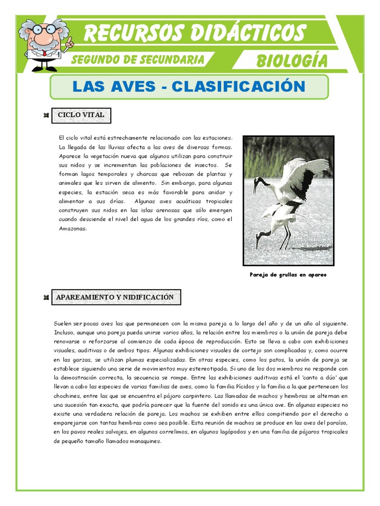 Clasificación de Las Aves para Segundo de Secundaria | PDF | Aves | Zoología