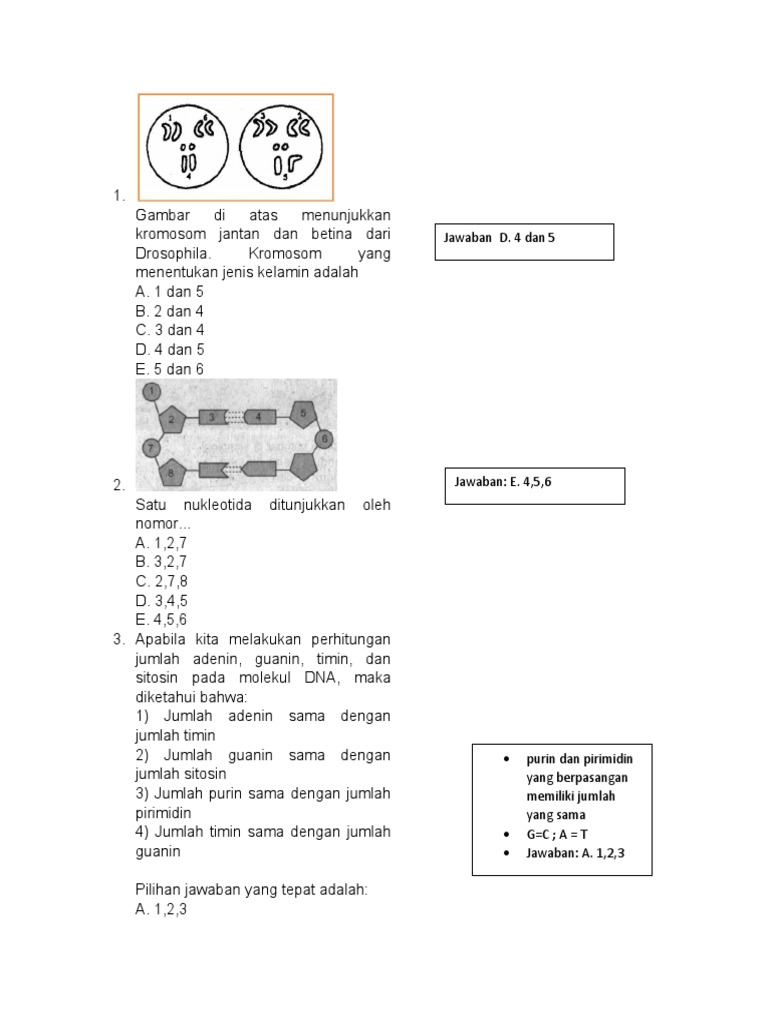 Latihan Soal Genetika | PDF