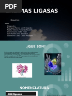 Ligasas | PDF | Enzima | Catálisis