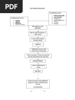 Benign Prostatic Hyperplasia Pathophysiology Diagram