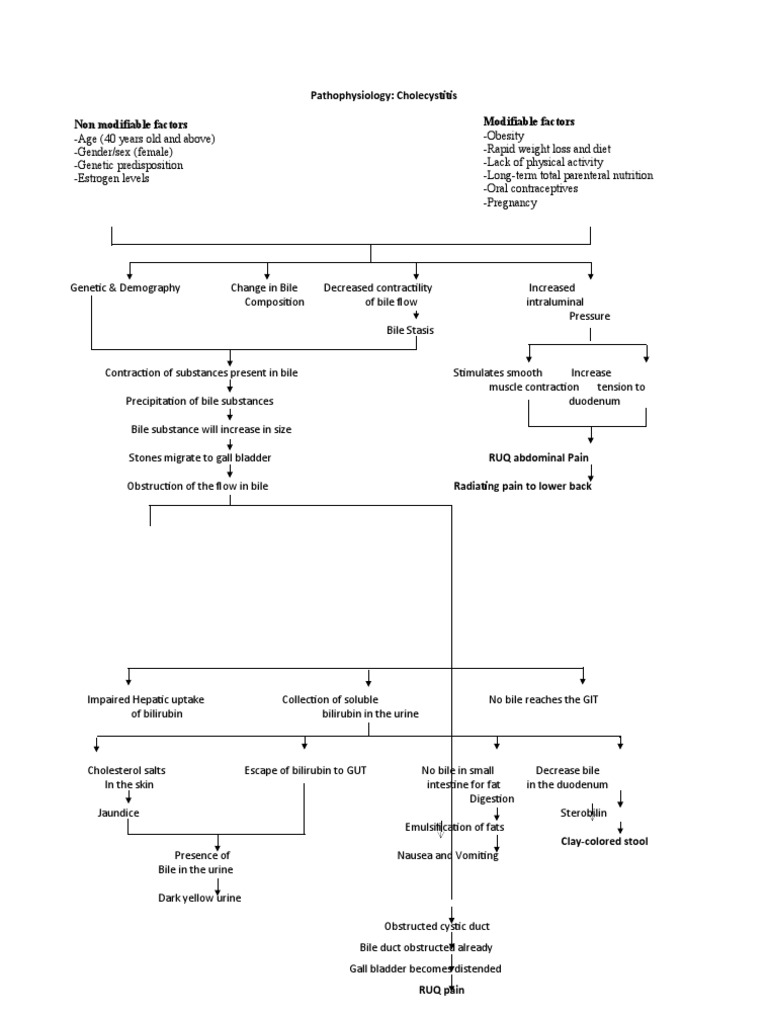 Cholecystitis Pathophysiology Overview | PDF | Gallbladder | Bile