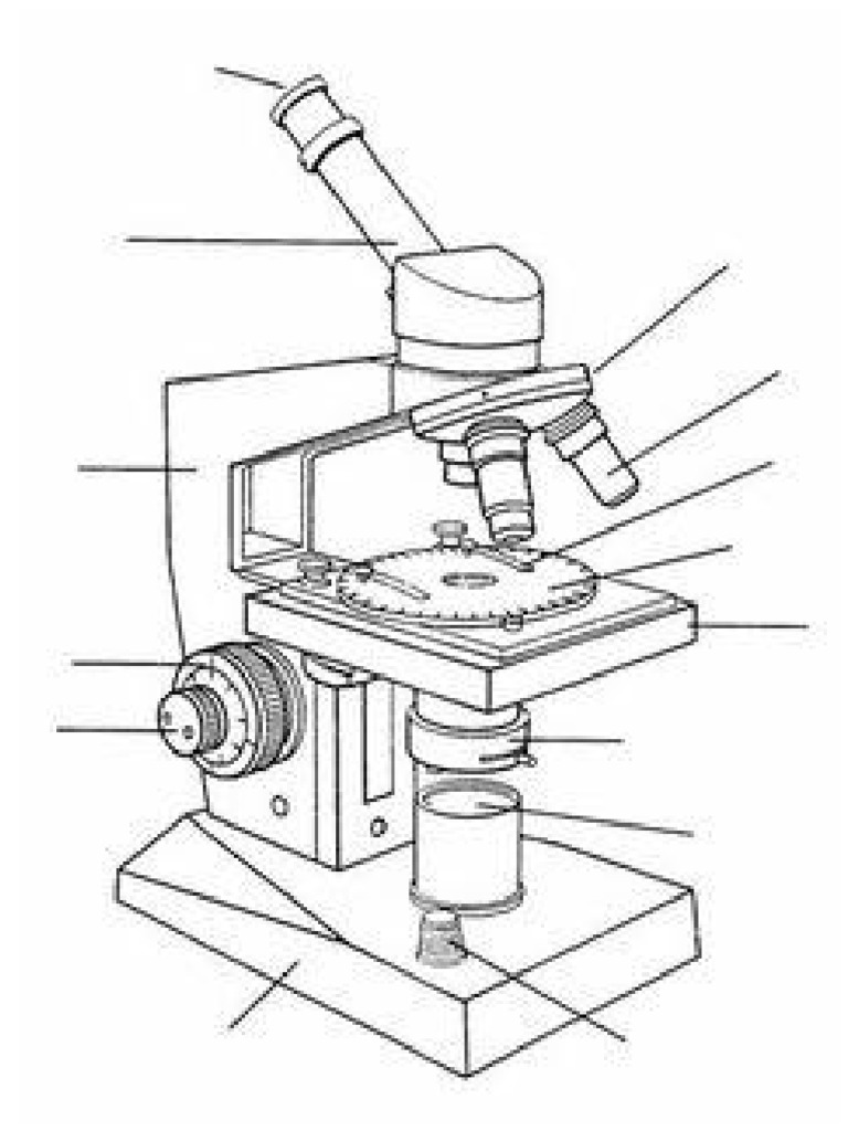 Esquema de Microscopio Sin Nombres | PDF