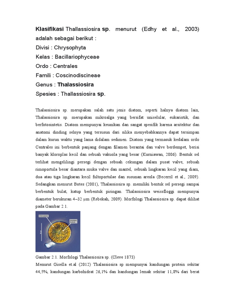 Klasifikasi dan morfologi Thalassiosira sp | PDF