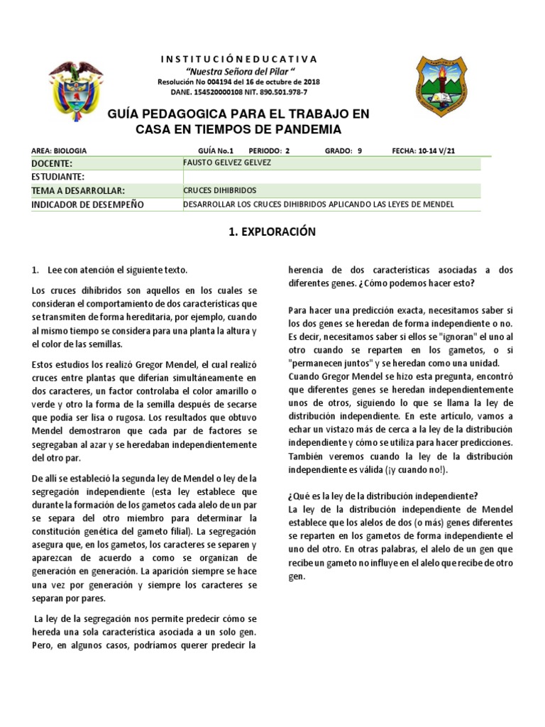 9 Cruce Dihibrido | PDF | Dominancia (Genética) | Organismos