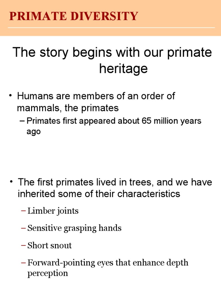Primate Diversity: The Story Begins With Our Primate Heritage | PDF ...