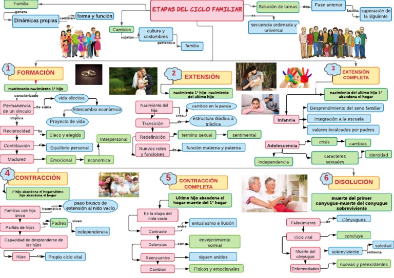 Etapas Del Ciclo Familiar | PDF | Ciencias del comportamiento | La ...