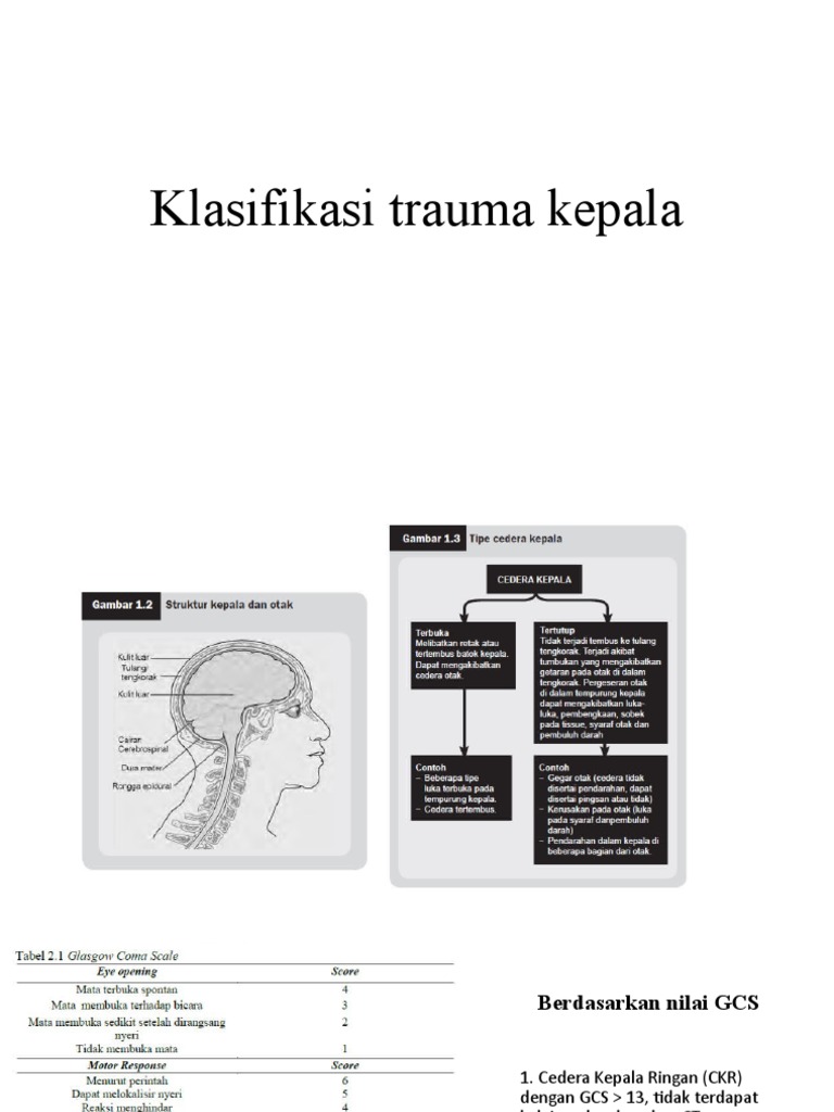Klasifikasi Trauma Kepala | PDF