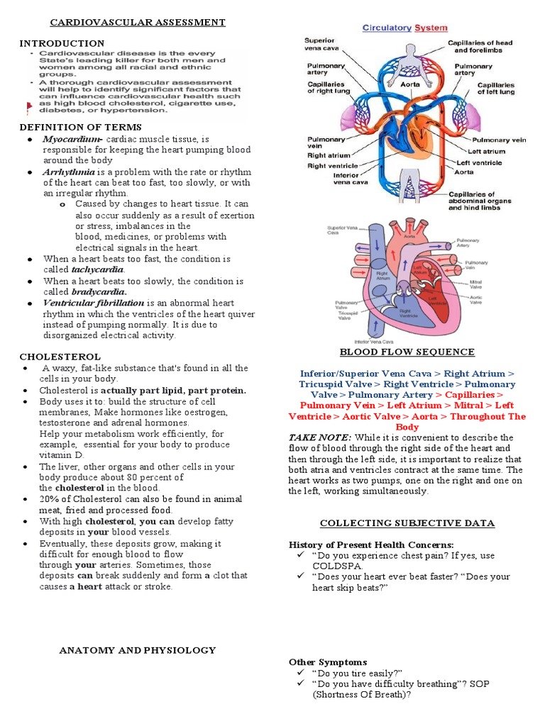 CARDIOVASCULAR ASSESSMENT Notes | PDF | Heart | Atrium (Heart)