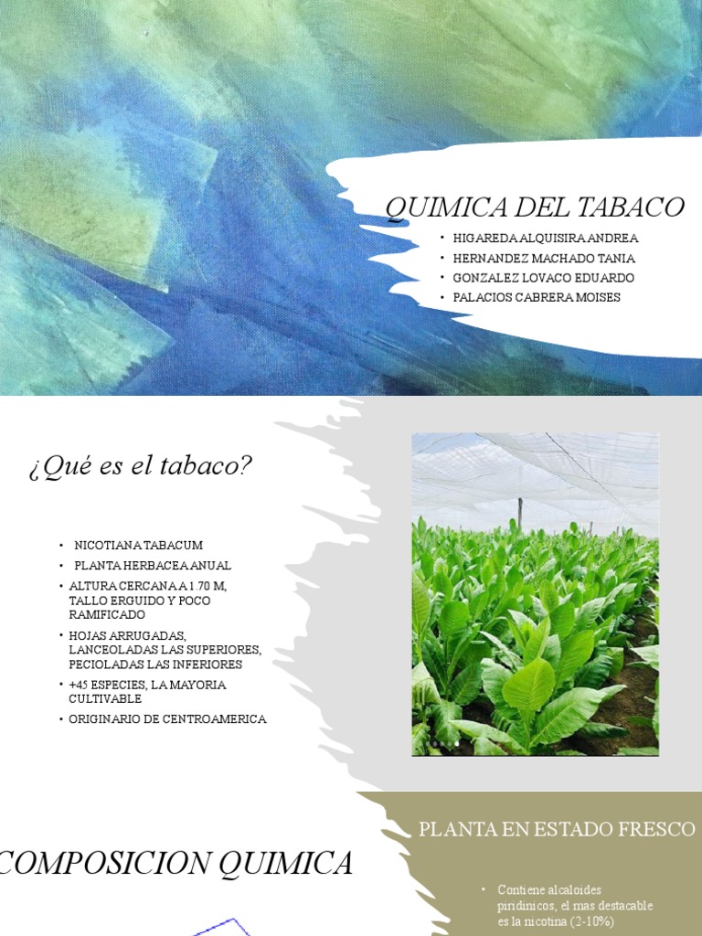 Composición Química del Tabaco | PDF | Nicotina | Cigarrillo