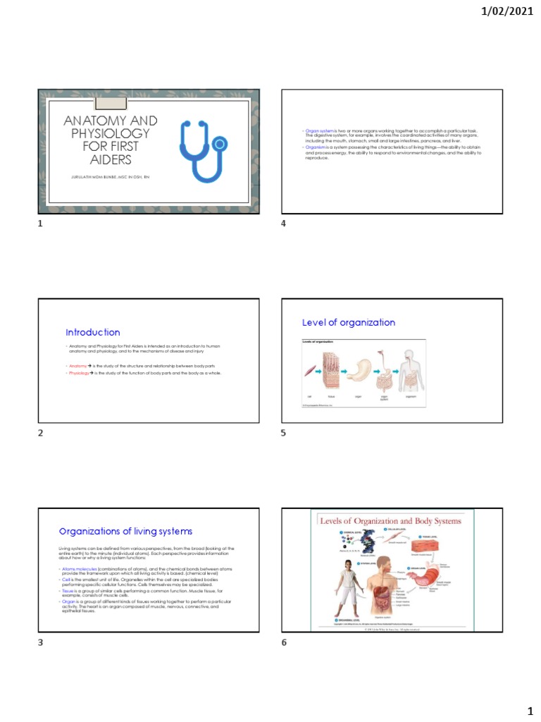 Anatomy And Physiology For First Aiders Pdf Human Body Skin