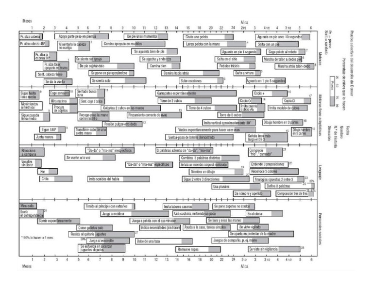 Escala de Denver | PDF