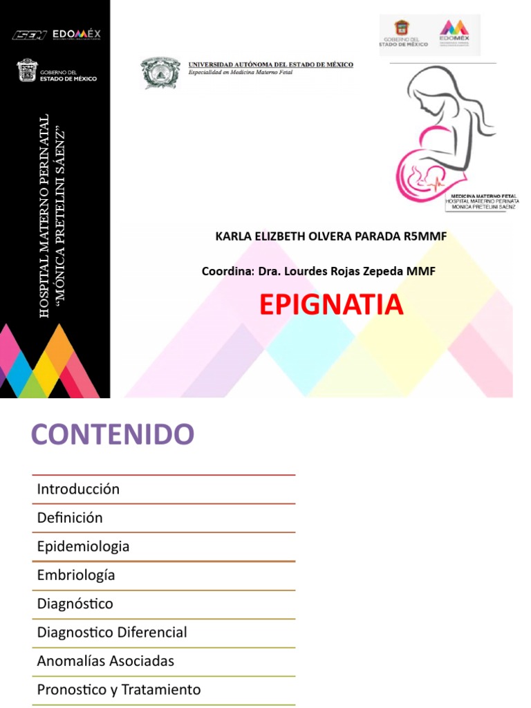 Epignatia Karla Olvera | PDF | Medicina CLINICA | Anatomía