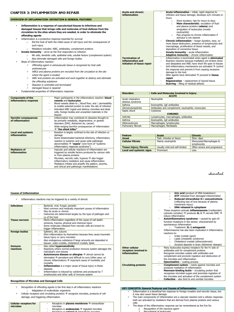 Robbins Pathology - Chapter 3 Trans | PDF | Inflammation | Endothelium