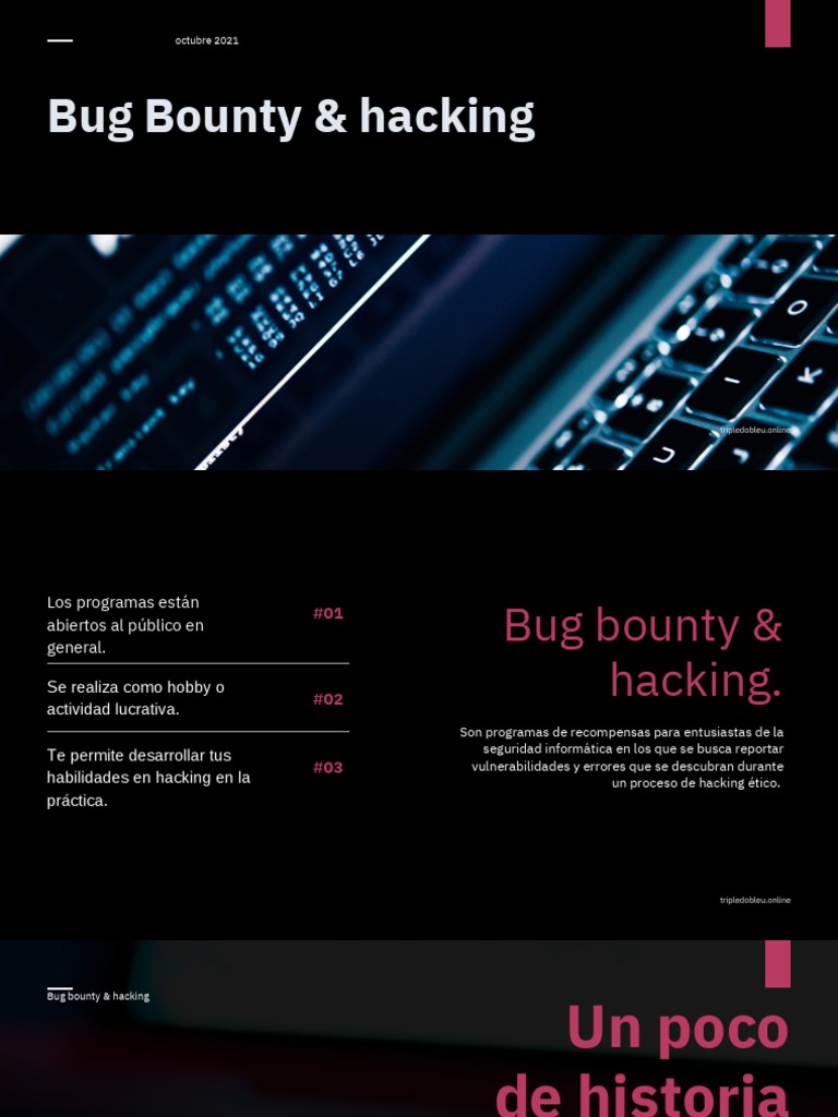 Bug Bounty and Hacking | PDF | Error de programación | Informática
