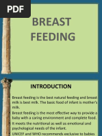 Lesson Plan Breastfeeding PDF | PDF | Breastfeeding | Breast Milk