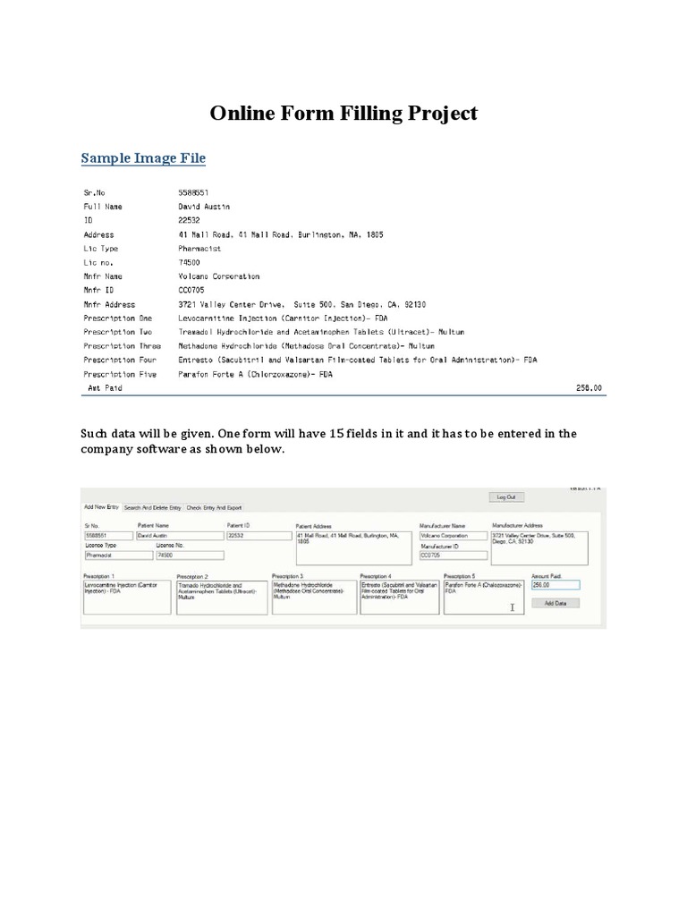 Online Form Filling Project Brochure | PDF | Computer File | Banks